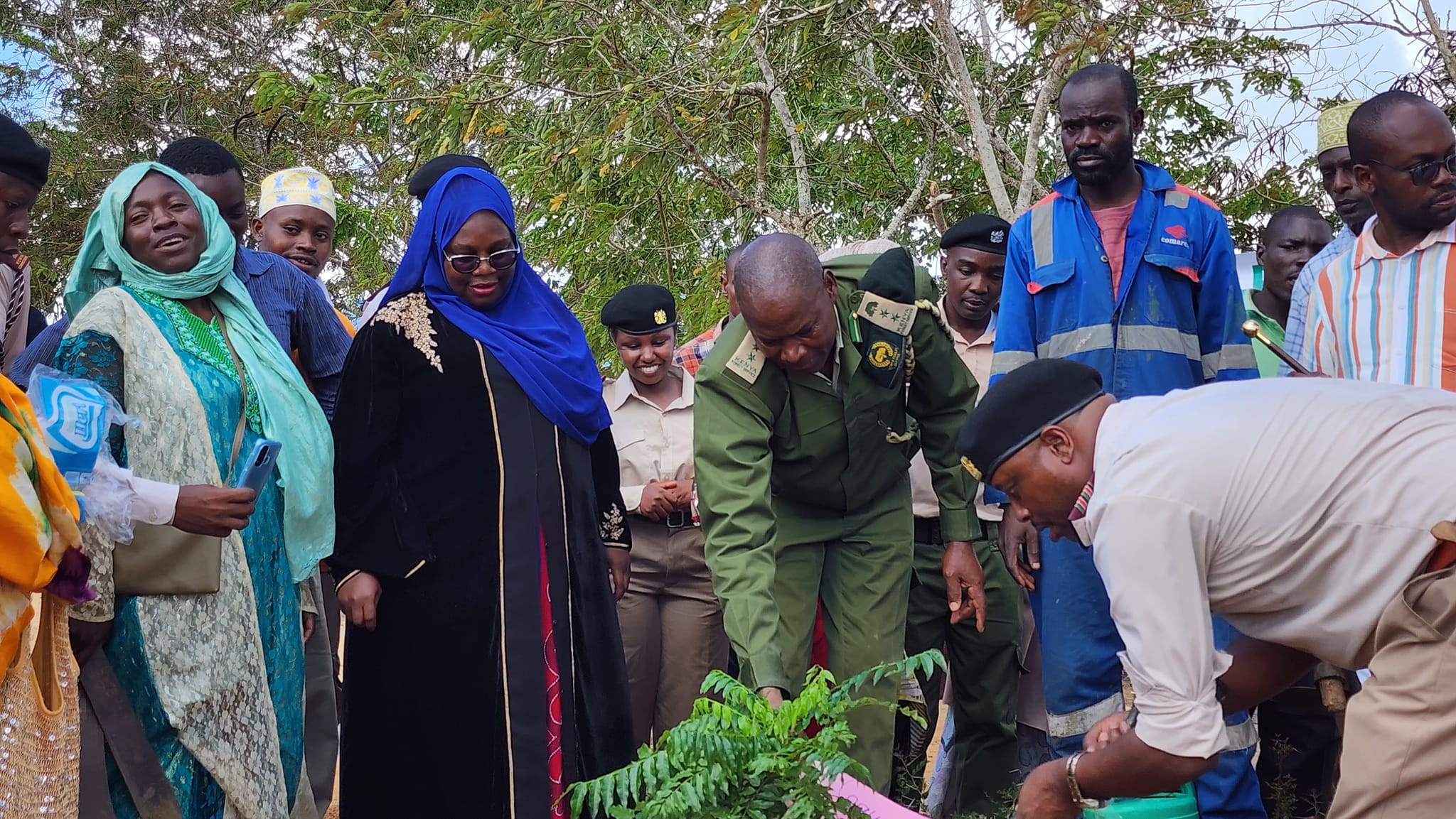 SENETA MTEULE KAUNTI YA MOMBASA AWAHIMIZA WENYEJI KUPANDA MITI KWA ...